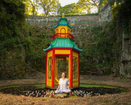 Wellness Restival Returns To Mount Congreve Gardens Waterford In Your Pocket wellness-restival-returns-to-mount-congreve-gardens-waterford-in-your-pocket